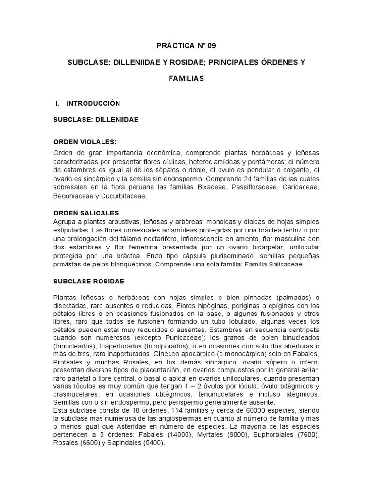 PRÁCTICA N 09 Dilleniidae y Rosidae | PDF | Flores | Plantas