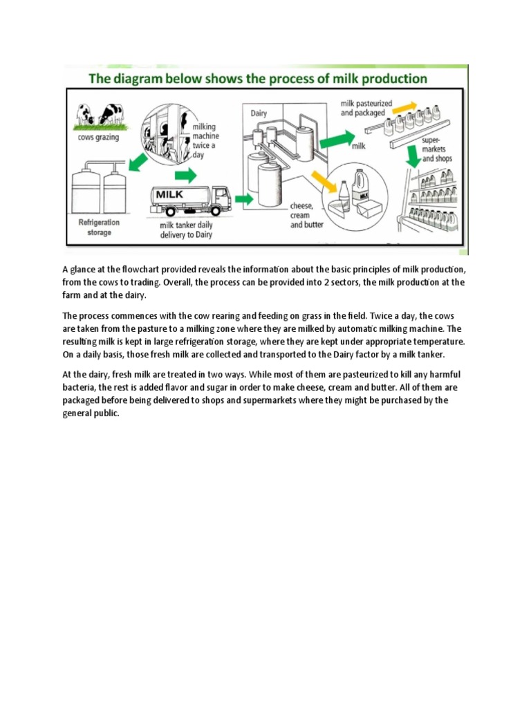 Milk Production Process Explained | PDF