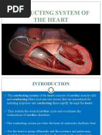 Cardiac Nursing | PDF | Heart Valve | Diastole