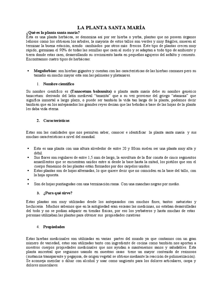 La Planta Santa María | PDF | Plantas | Botánica