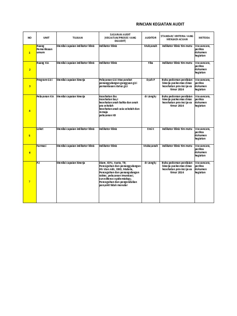 Instrumen Audit Internal | PDF
