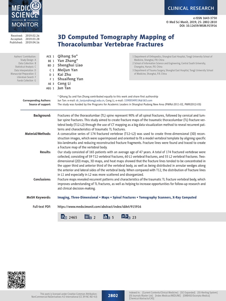 3D Computed Tomography Mapping of Thoracolumbar Ve | PDF | Vertebral ...