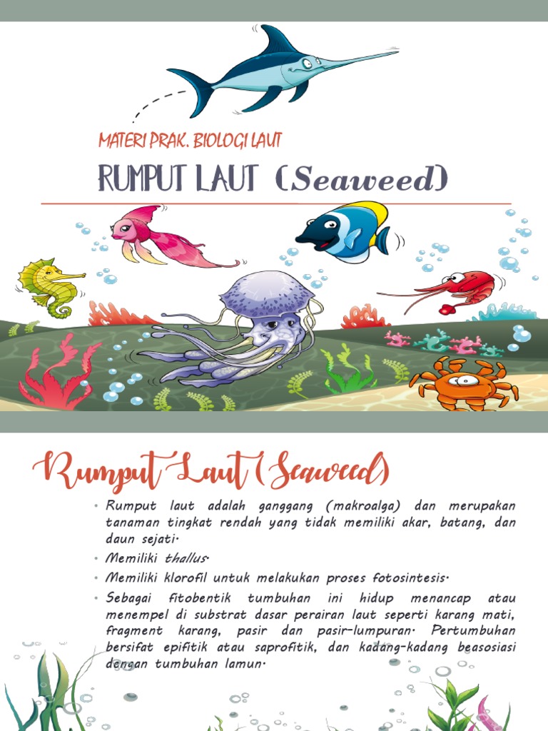 Rumput Laut | PDF | Sains & Matematika