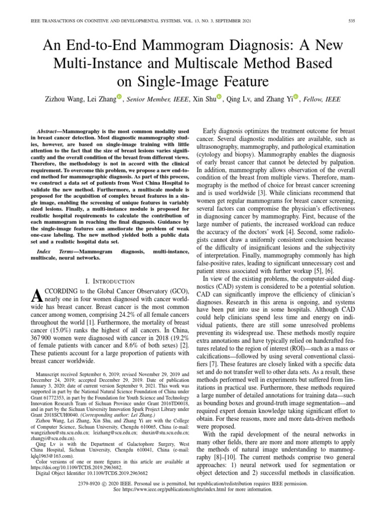 An End-to-End Mammogram Diagnosis: A New Multi-Instance and Multiscale ...