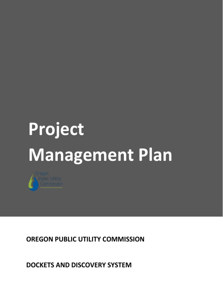 DD Project Plan | PDF | Project Management | Governance