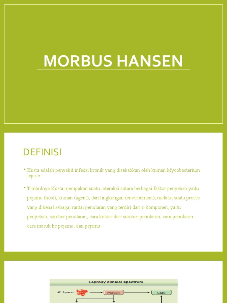 Morbus Hansen | PDF