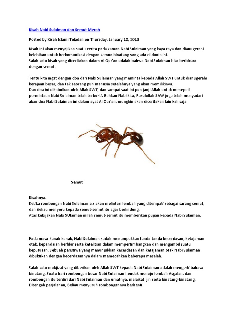 Kisah Nabi Sulaiman Dan Semut Merah | PDF