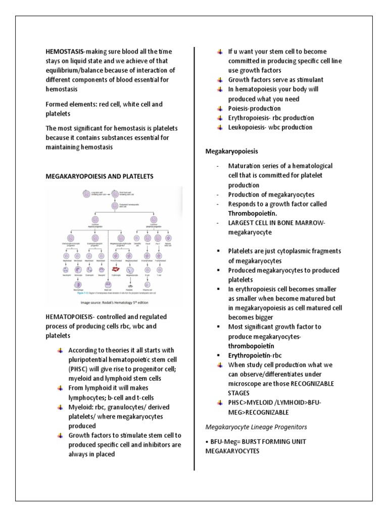 HEMOSTASIS-making Sure Blood All The Time: Megakaryocyte Lineage ...