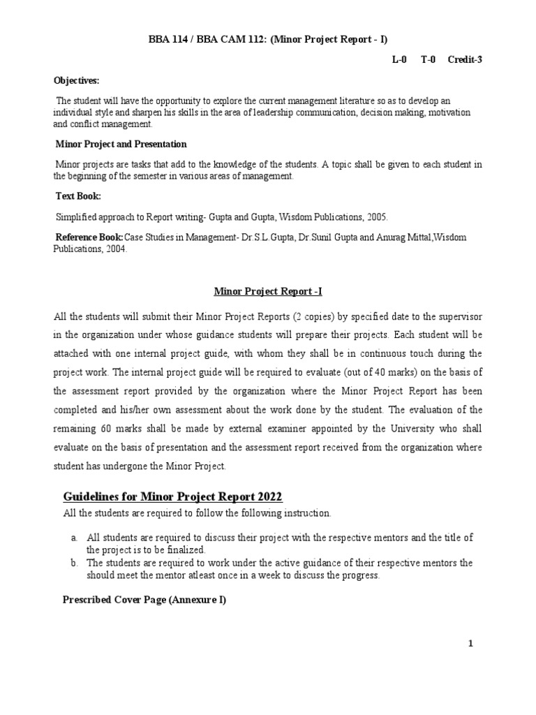 Minor Project Guidelines | PDF | Marketing | Marketing Strategy