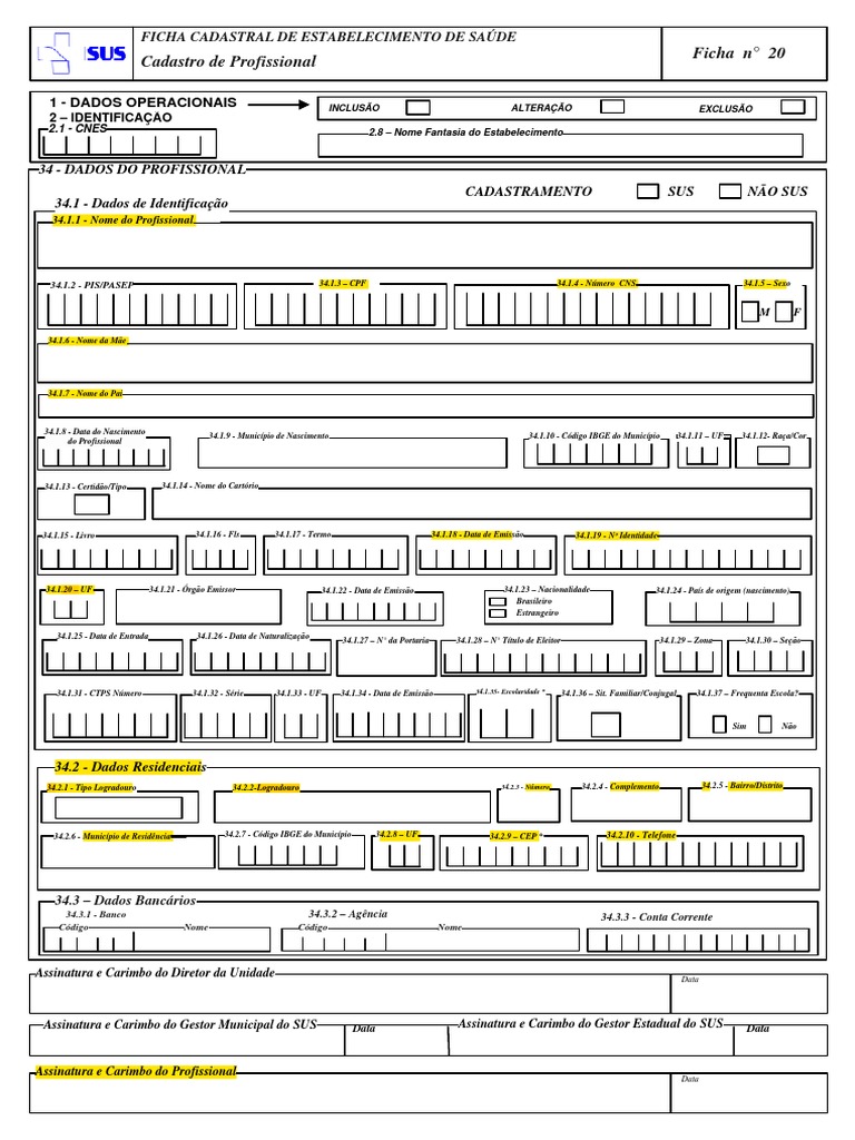 Ficha 20 - Profissional - CNES Atual | PDF | Brasil