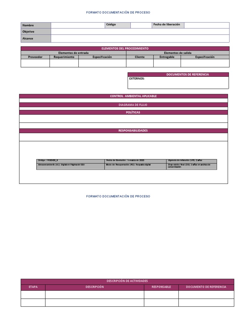 Formato para Documentar Procesos | PDF | Informática