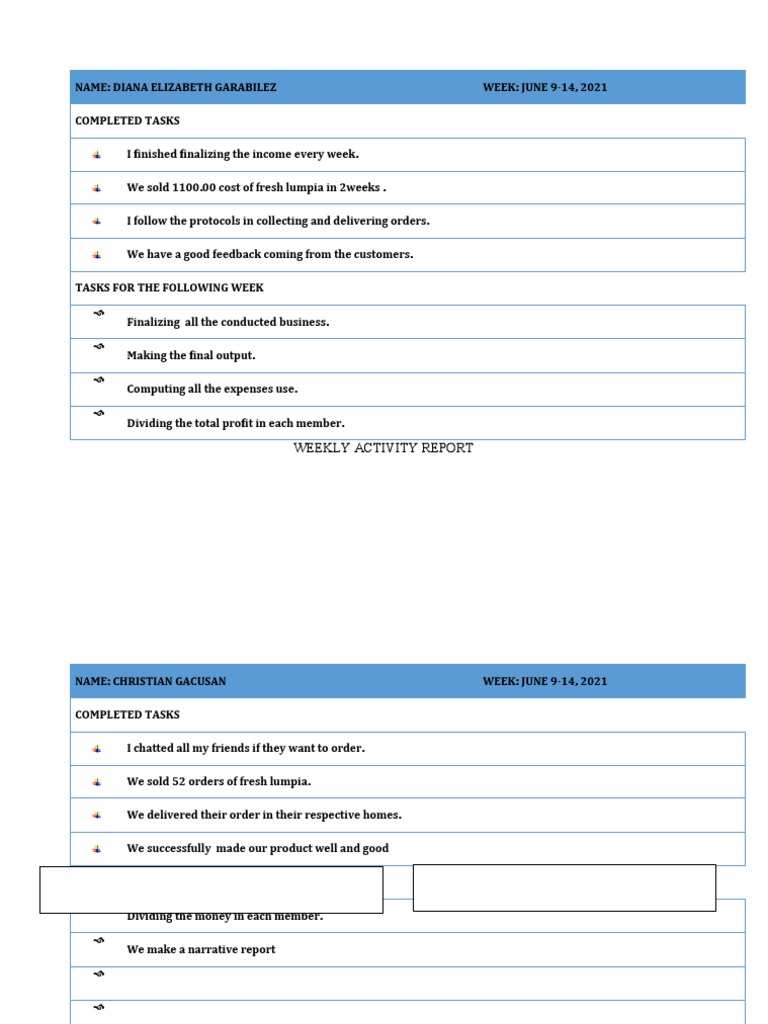 Immersion Weekly Report Individual | PDF | Economies | Business