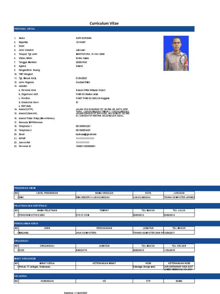 CV Adri Barisna: Data Pribadi dan Pengalaman | PDF