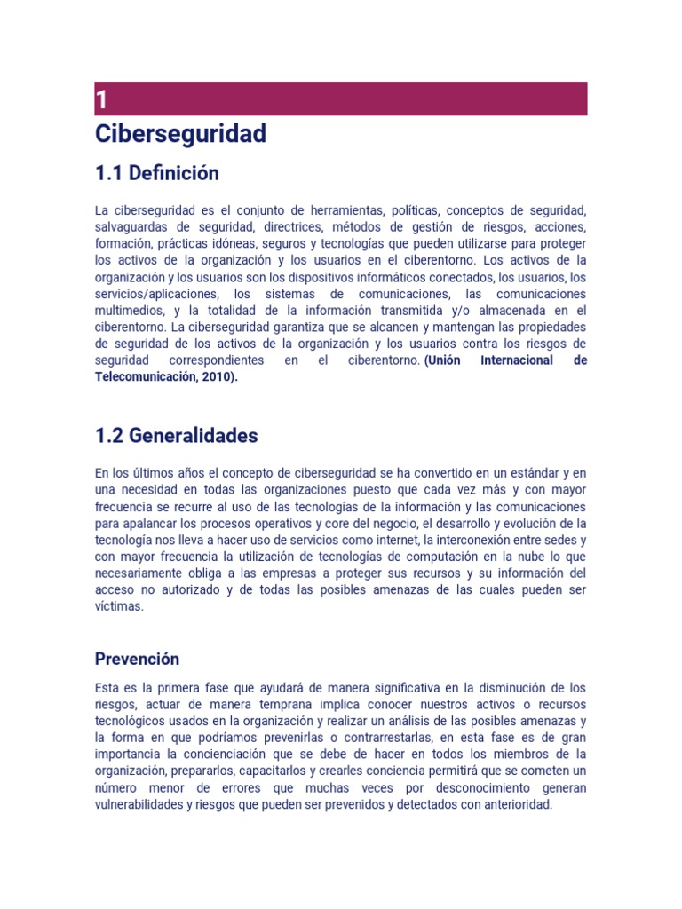 Ciberseguridad y Seguridad de La Información | PDF | Seguridad | La ...