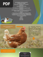 Anatomía del aparato reproductor del gallo | PDF | Salud y bienestar ...