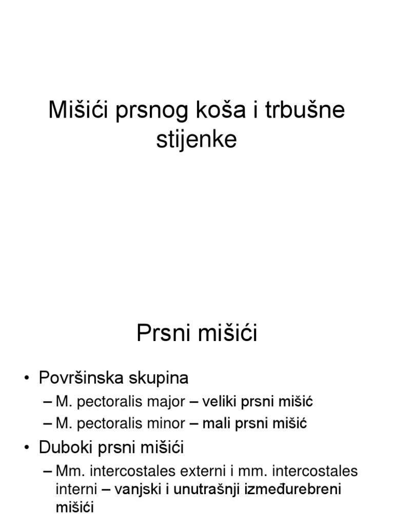 3.4 Misici Trupa | PDF