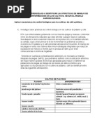 Taller de Bioinsecticidas | PDF | Control biológico de plagas | Plaga ...