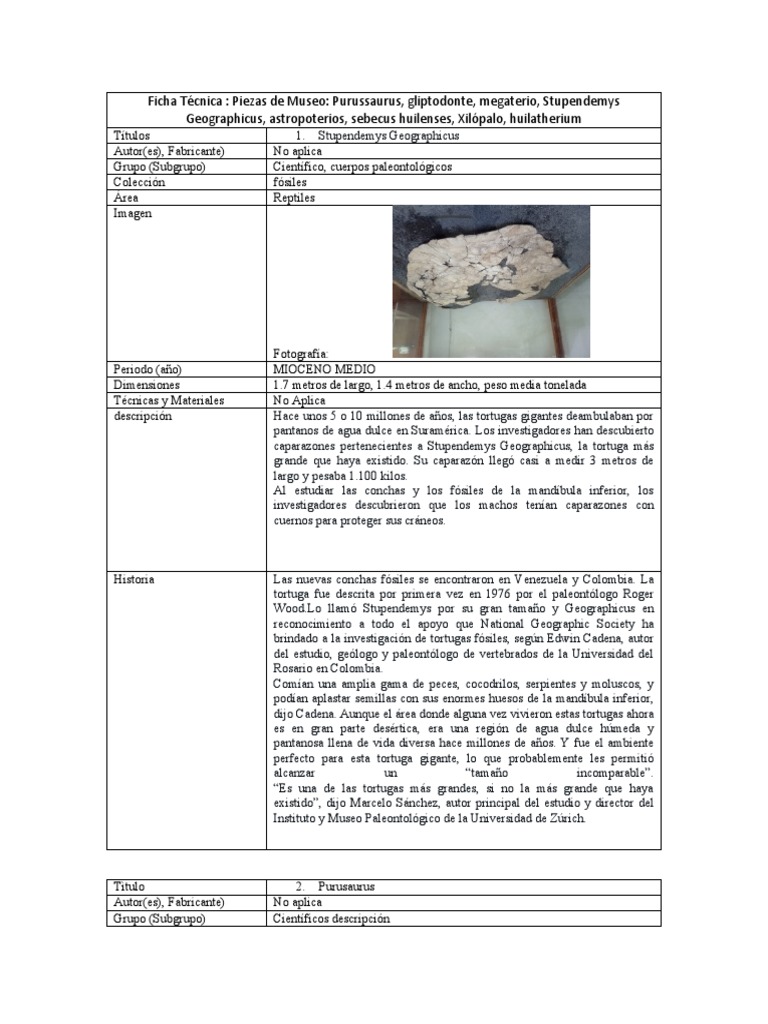 Ficha Identificacion Piezas de Museos | PDF