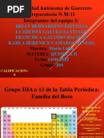 familia del boro | PDF
