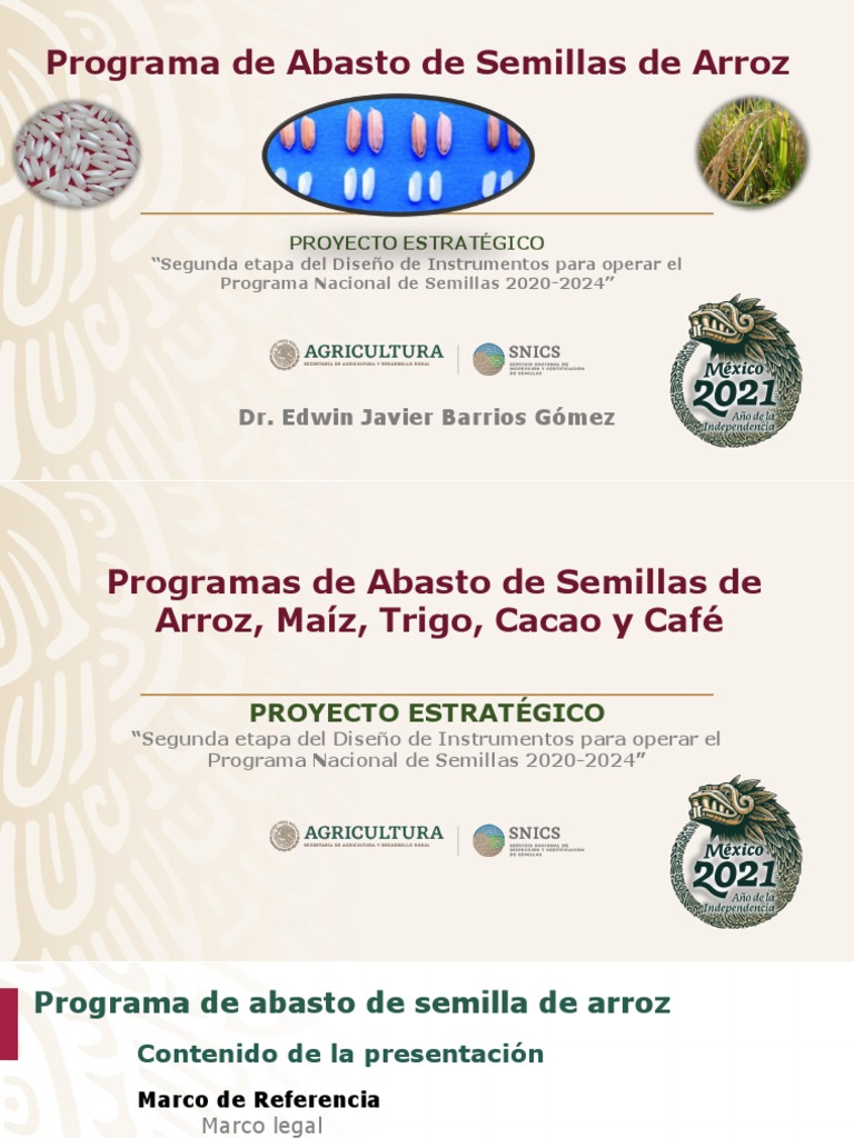 Logotipo De Semillas De Arroz Profile For Semillas Valle