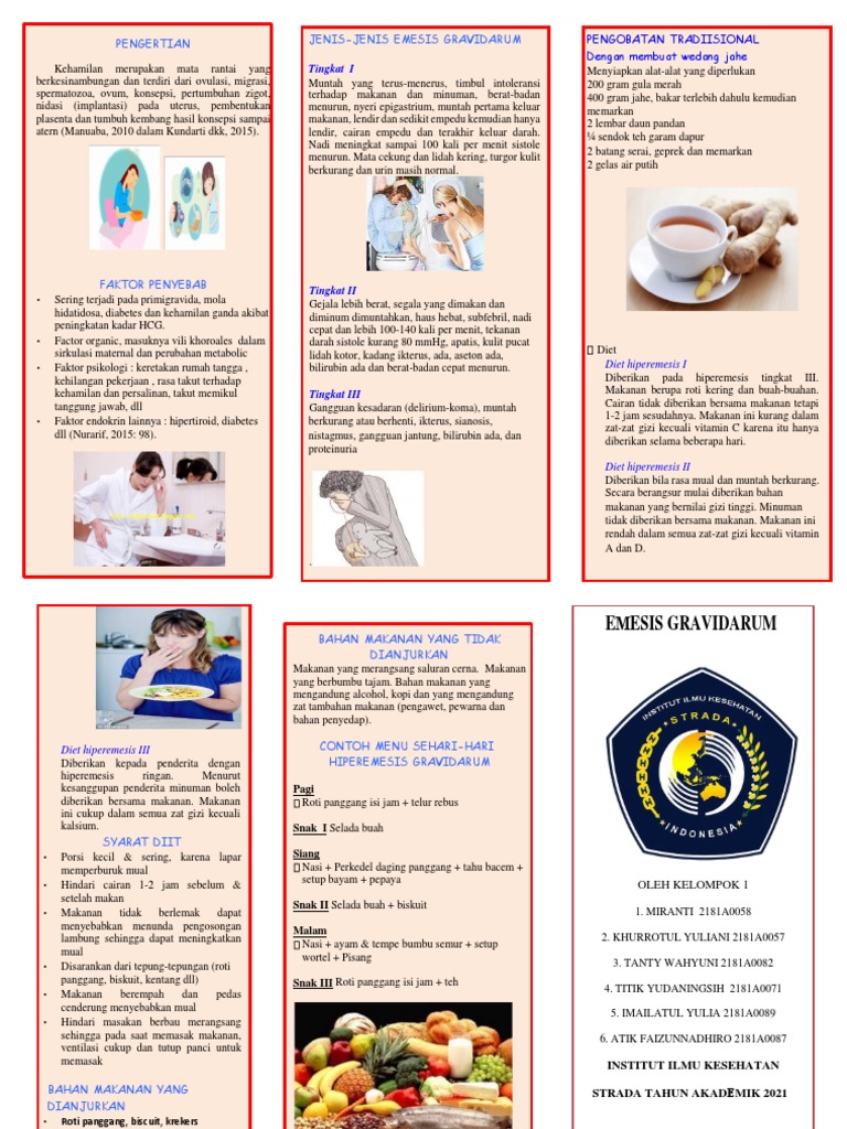 Leflet Mualmuntah Pada Ibu Hamil | PDF