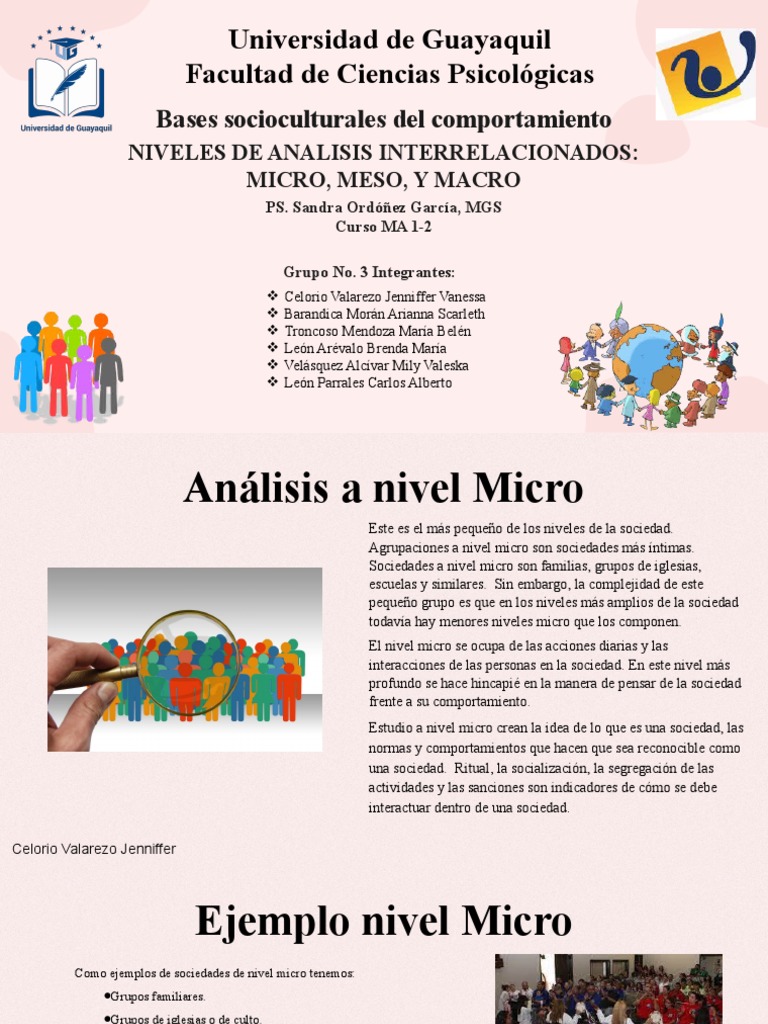 Niveles de Analisis Interrelacionados (Micro, Meso, y Macro) | PDF | Sociedad | Sociología