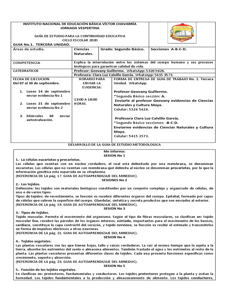 Ciencias Naturales Segundo Basico | PDF | Biodiversidad | Músculo ...