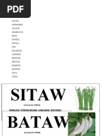 FUGTONG | PDF | Fairy Tales | Folklore