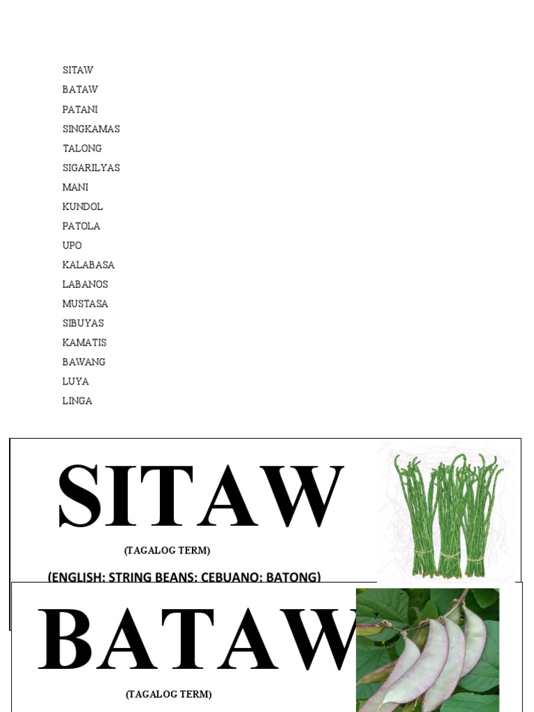 Sitaw Bataw: (English: String Beans Cebuano: Batong) Scientific Name | PDF
