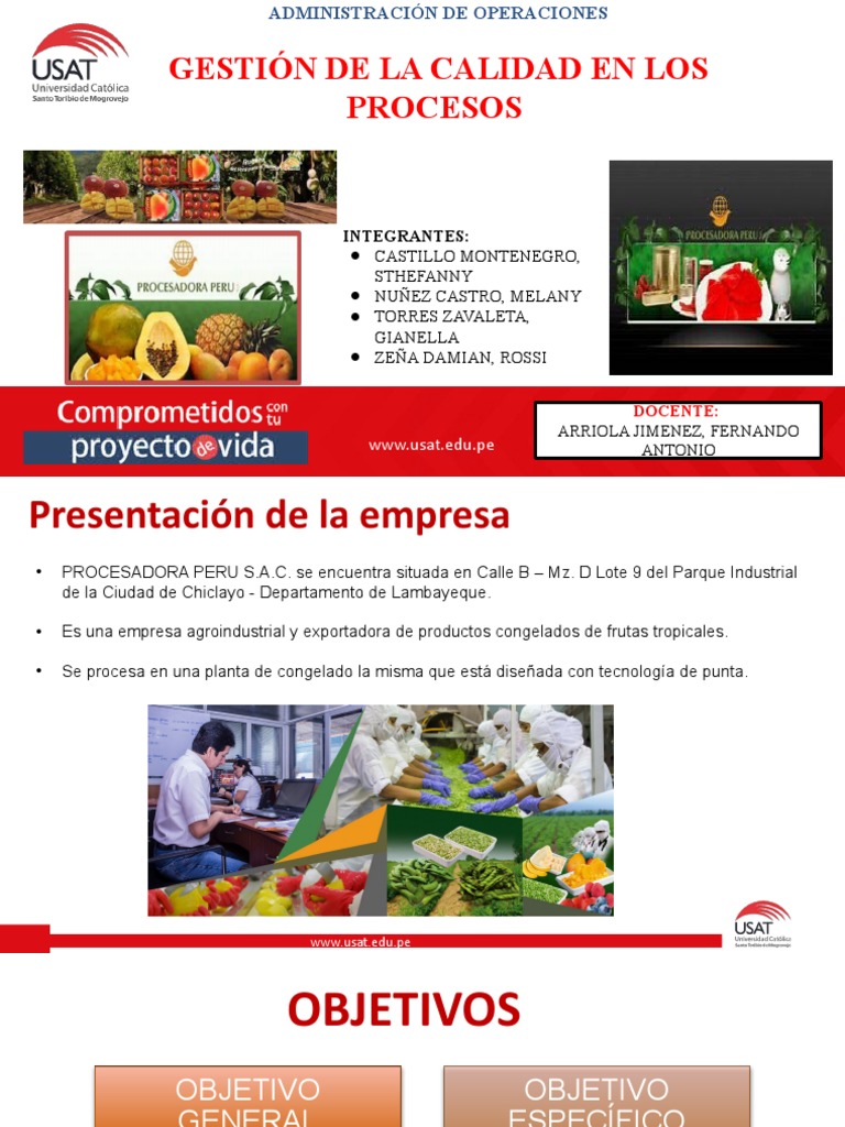 Procesadora Perú SAC | PDF | Planificación | Perú