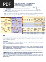 Laboratory Exercise 1A - Yarn Models | PDF | Mitosis | Meiosis
