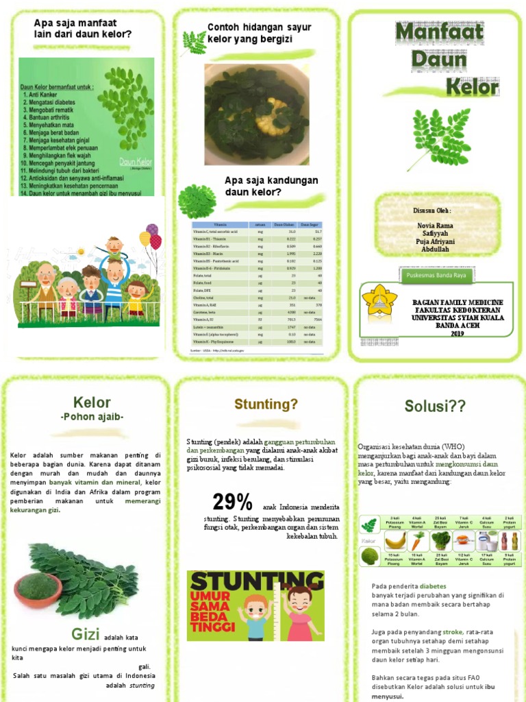 Brosur Daun Kelor PDF | PDF