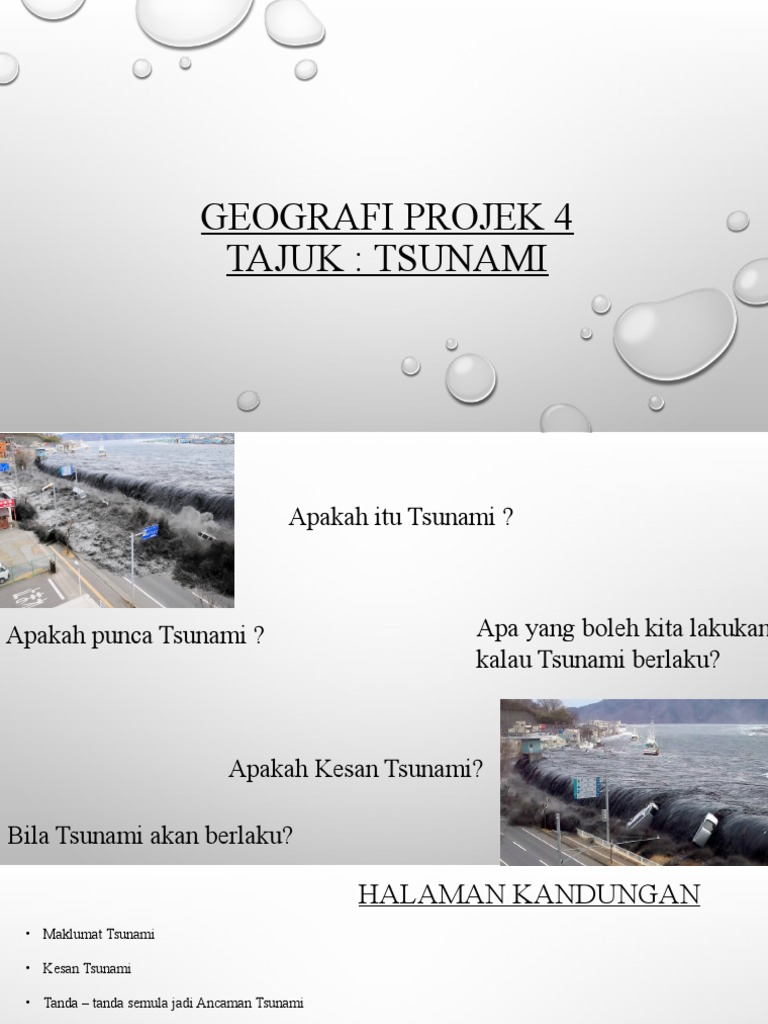 Tsunami | PDF