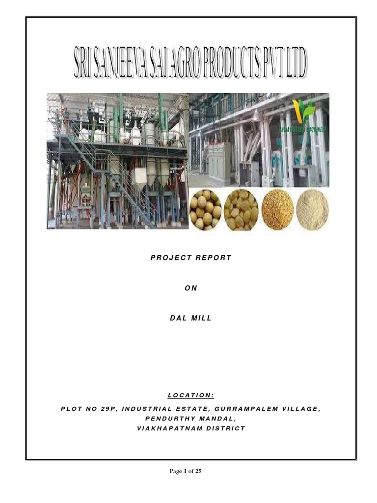 Sri Sanjeeva Sai Agro Industries PVT LTD Project Report | PDF | Legume ...