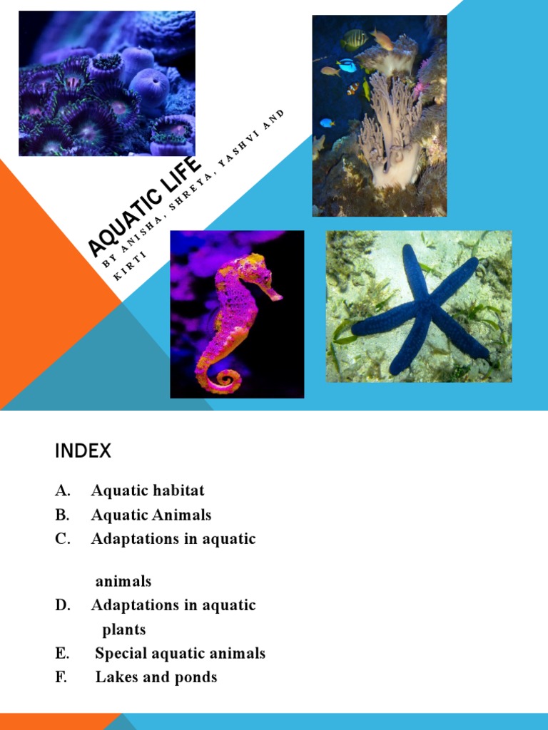Aqatic Life Science Project | PDF | Amphibian | Aquatic Ecosystem
