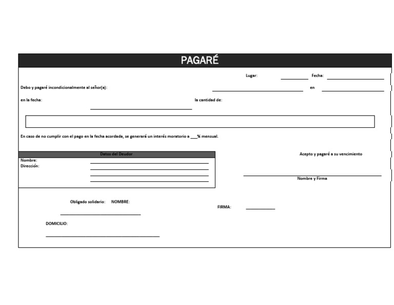 Formato Pagare | PDF