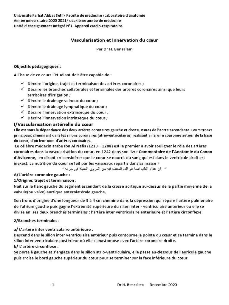 Vascularisation et Innervation du Cœur | PDF | Cœur | Aorte