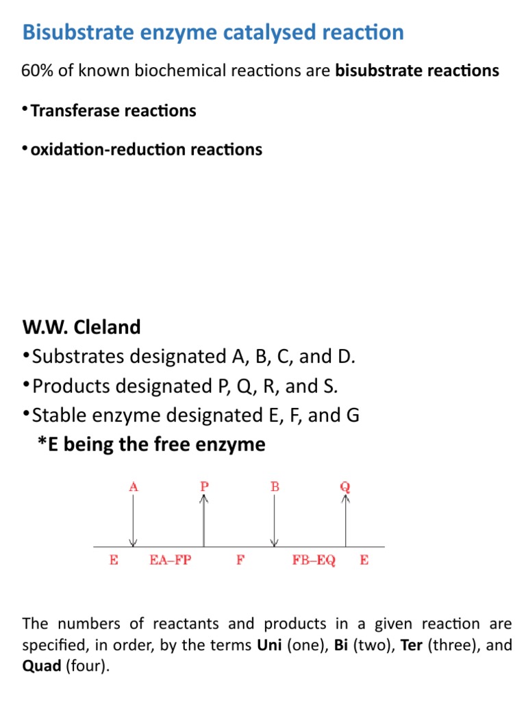Bisubstrate Enzyme Catalysed Reaction | PDF | Enzyme | Substrate ...