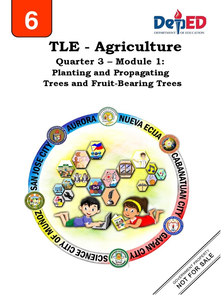 TLE6 - AGRICULTURE - Q3 - Module1 (15pages) | PDF | Trees | Plants