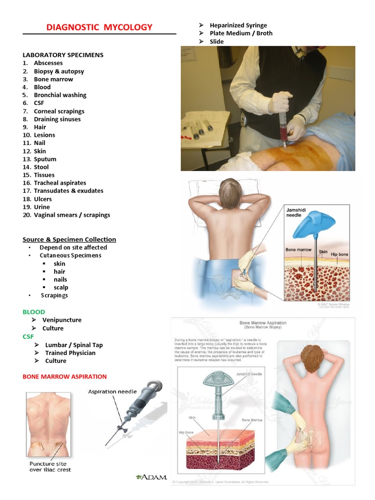 PPT4 Reviewer MycoViro DIAGNOSTIC MYCOLOGY | PDF | Staining | Cytopathology