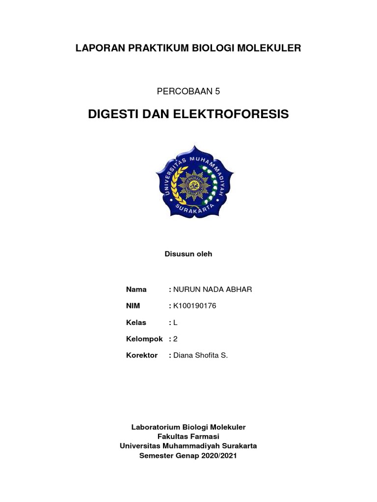 DIGESTI | PDF