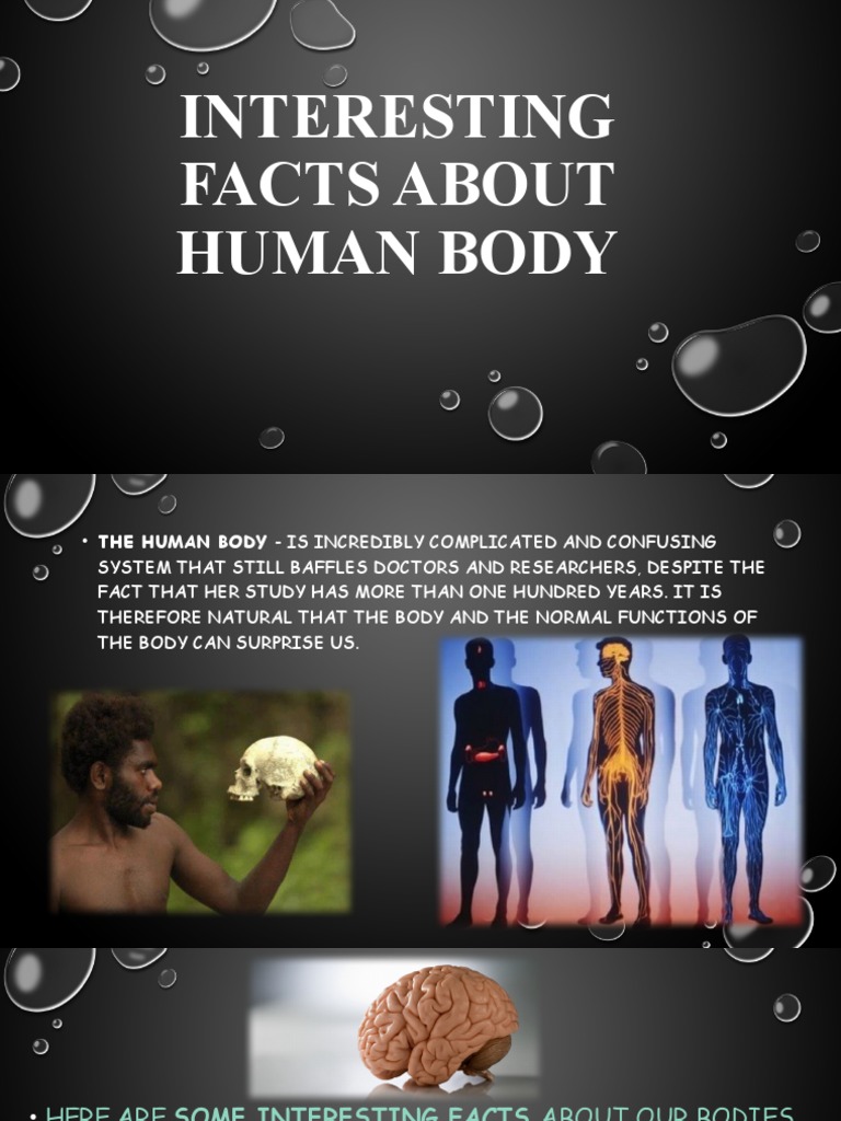 Interesting Facts About Human Body | PDF