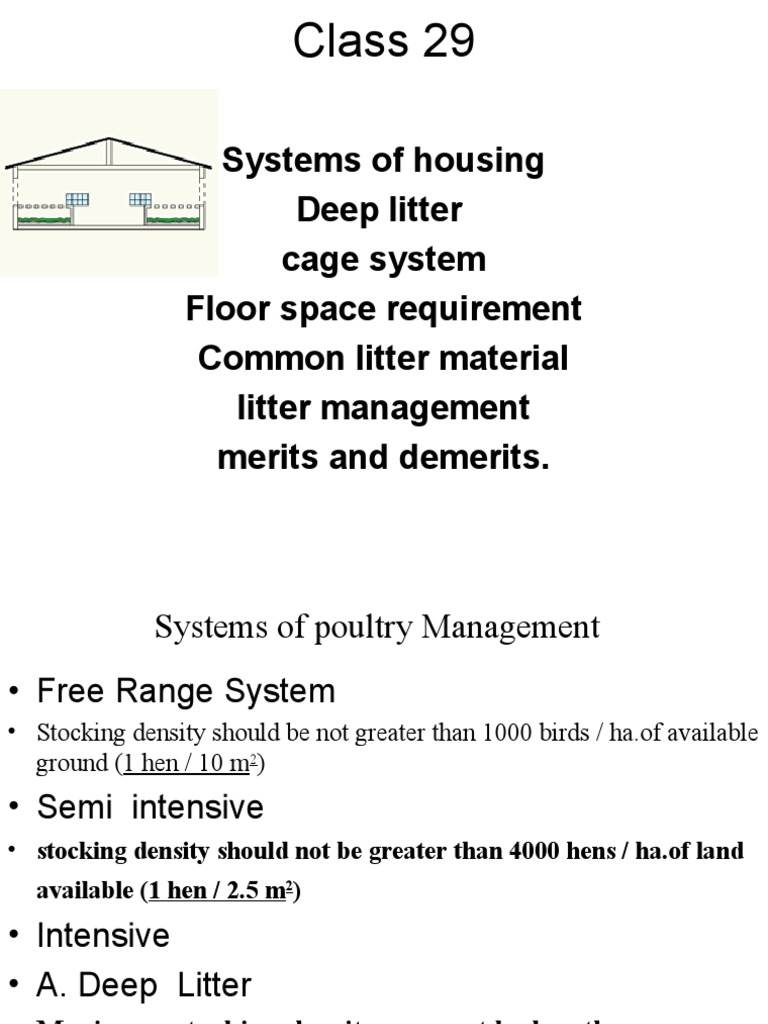 Systems of Housing Deep Litter Cage System Floor Space Requirement ...