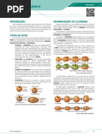 Clivagem Embrionária: Formação Multicelular | PDF | Ovo | Mitose