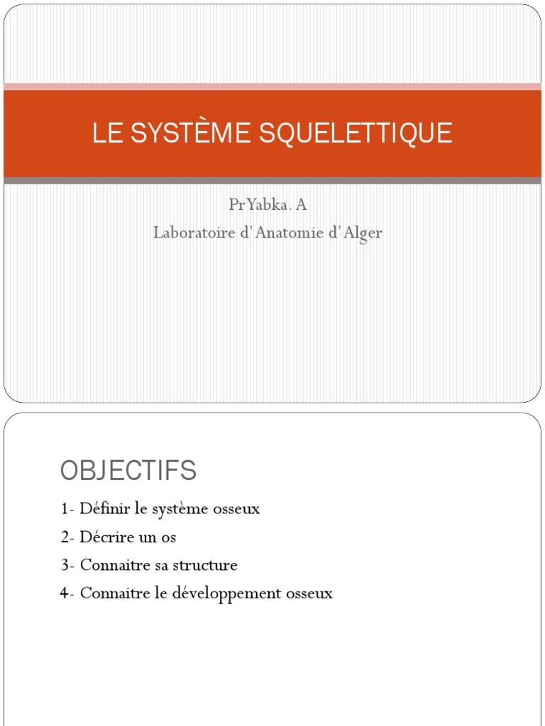 Le Système Squelettique Humain | PDF | Os | Cartilage