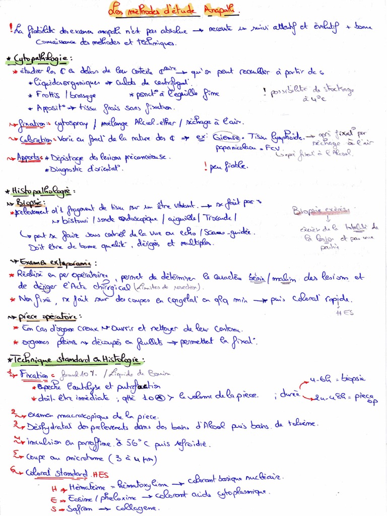 Anapath | PDF