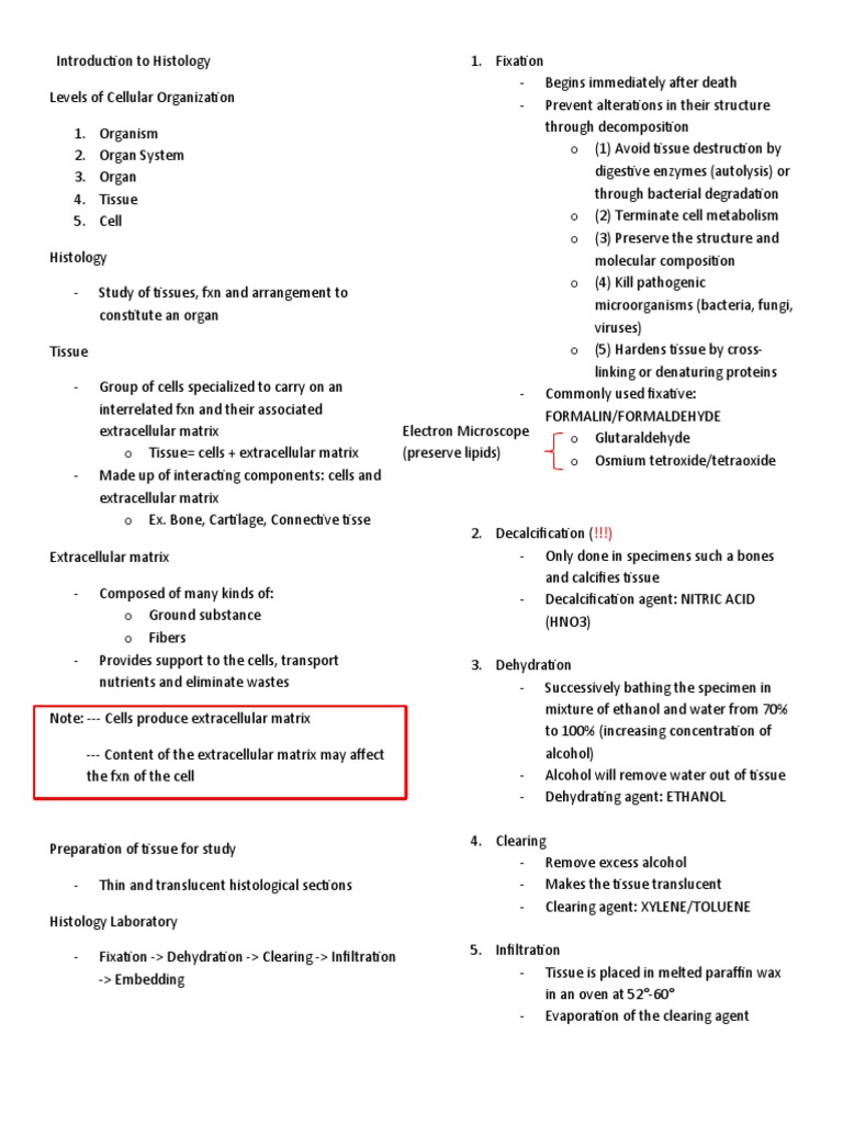 Introduction To Histology | PDF | Histology | Staining