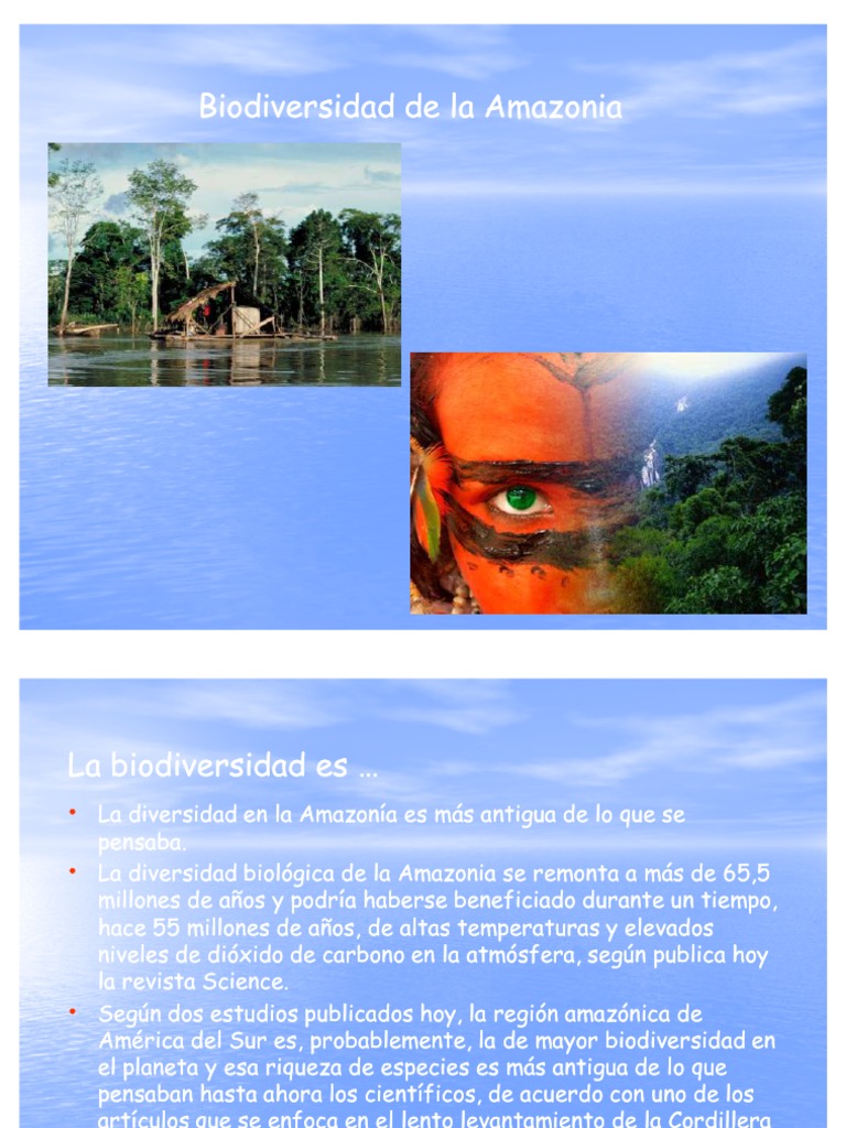 Bio Divers Id Ad de La Amazonia | PDF