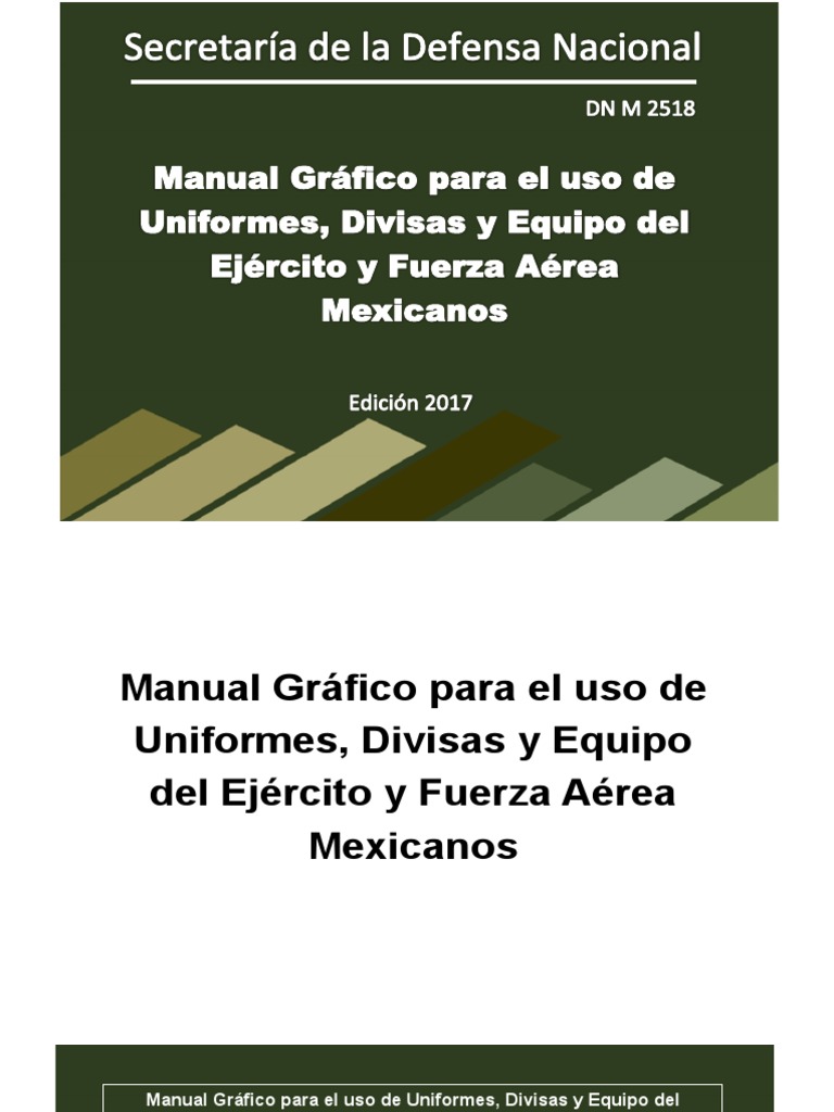 Manual Grafico para El Uso de Uniformes Divisas y Equipo Del Ejercito y Fam | PDF | Sargento ...