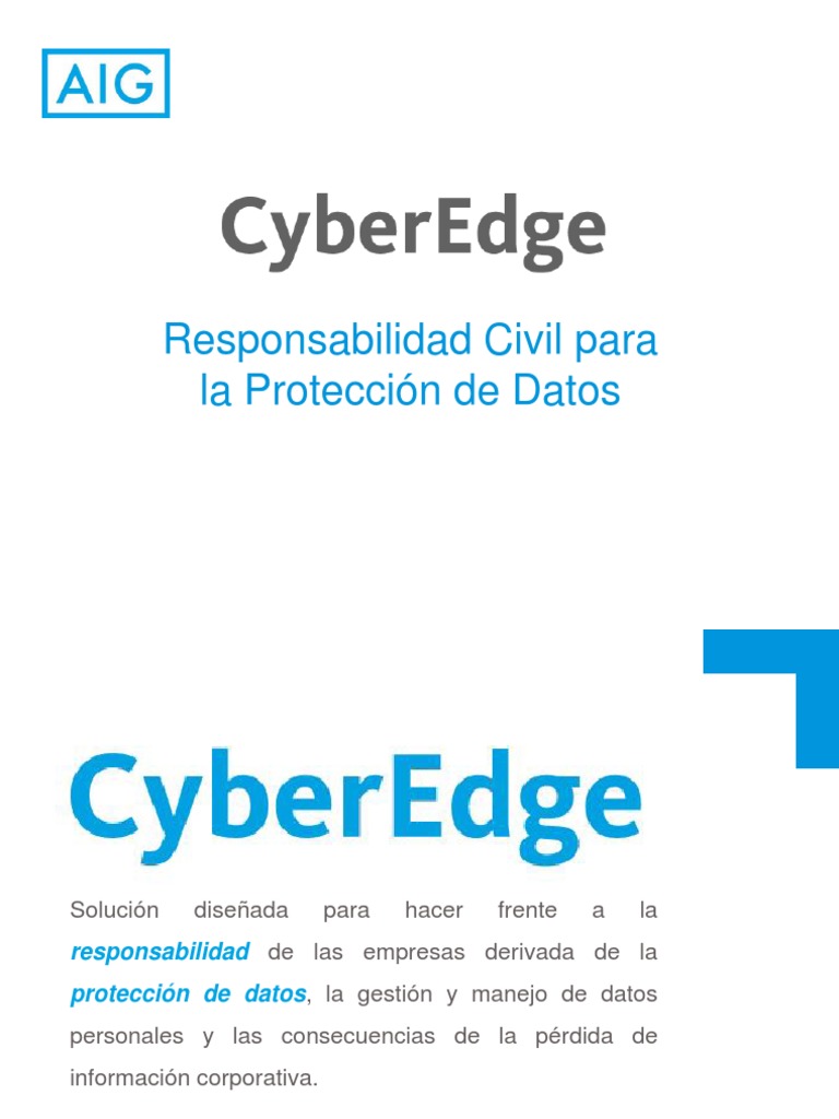 Presentación Final CyberEdge AIG | PDF | Malware | Póliza de seguros
